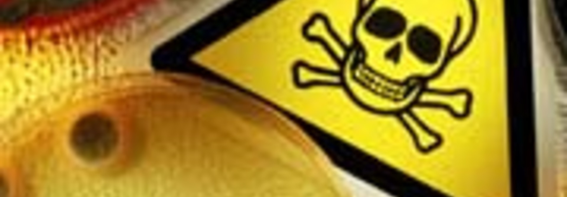 Conficker Worm Hits Windows | BizTech Magazine